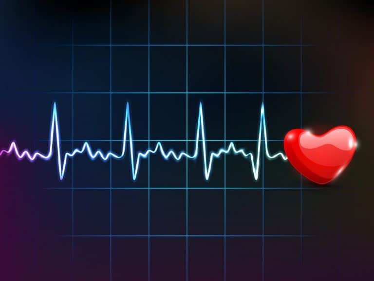 Different Types of Cardiovascular Stress Tests | Philips Health Care ...
